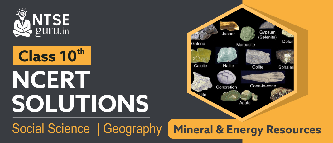 NCERT Solutions for Class 10 Social Science Geography Chapter 5 | Ntseguru